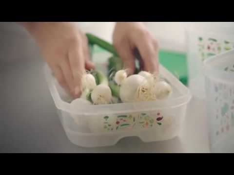 Intelli-Frais Tupperware - YouTube