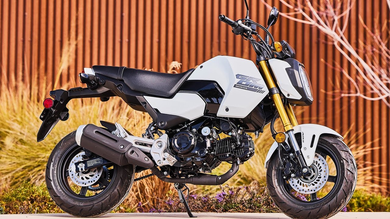 New 2025 Honda Grom Japanese Pocket-Rocket - YouTube