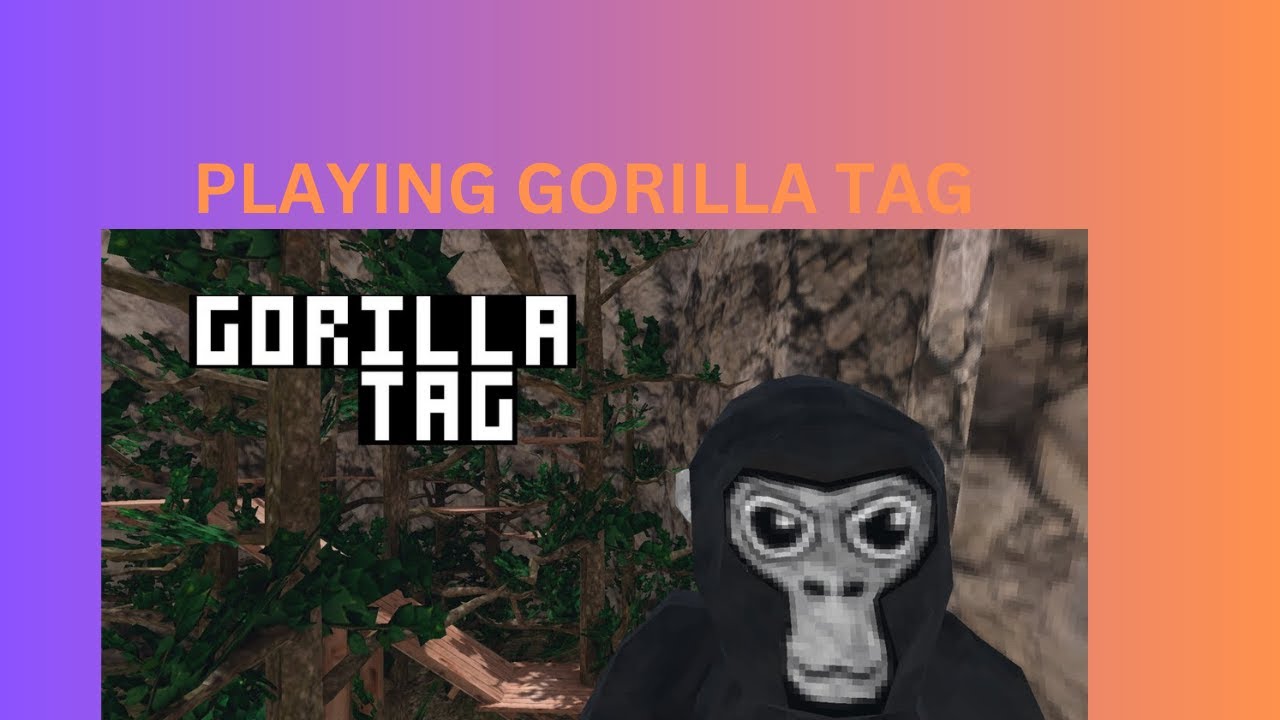 Playing Gorrila Tag :1ST GORRILA TAG YOUTUBE VIDEO: - YouTube
