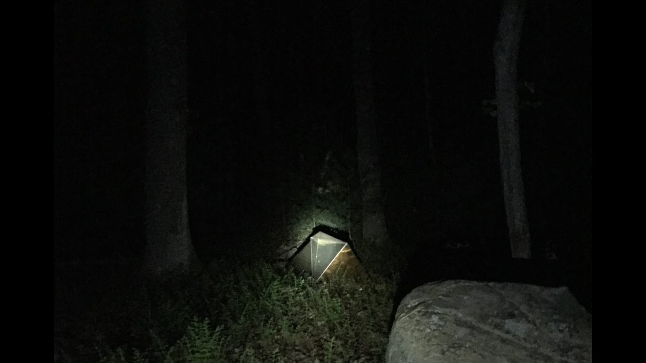 unknown artifact in the woods is it aliens - YouTube