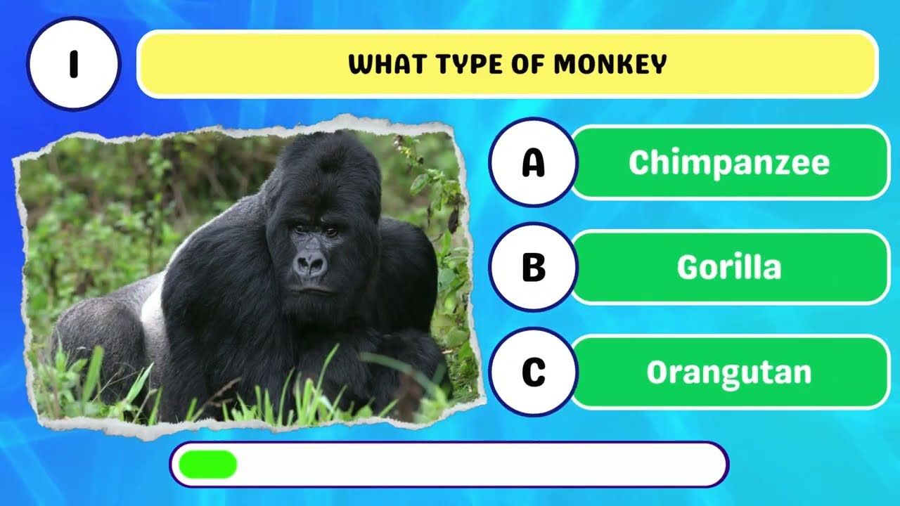 Monkey Species Quiz #monkey #quiz - YouTube