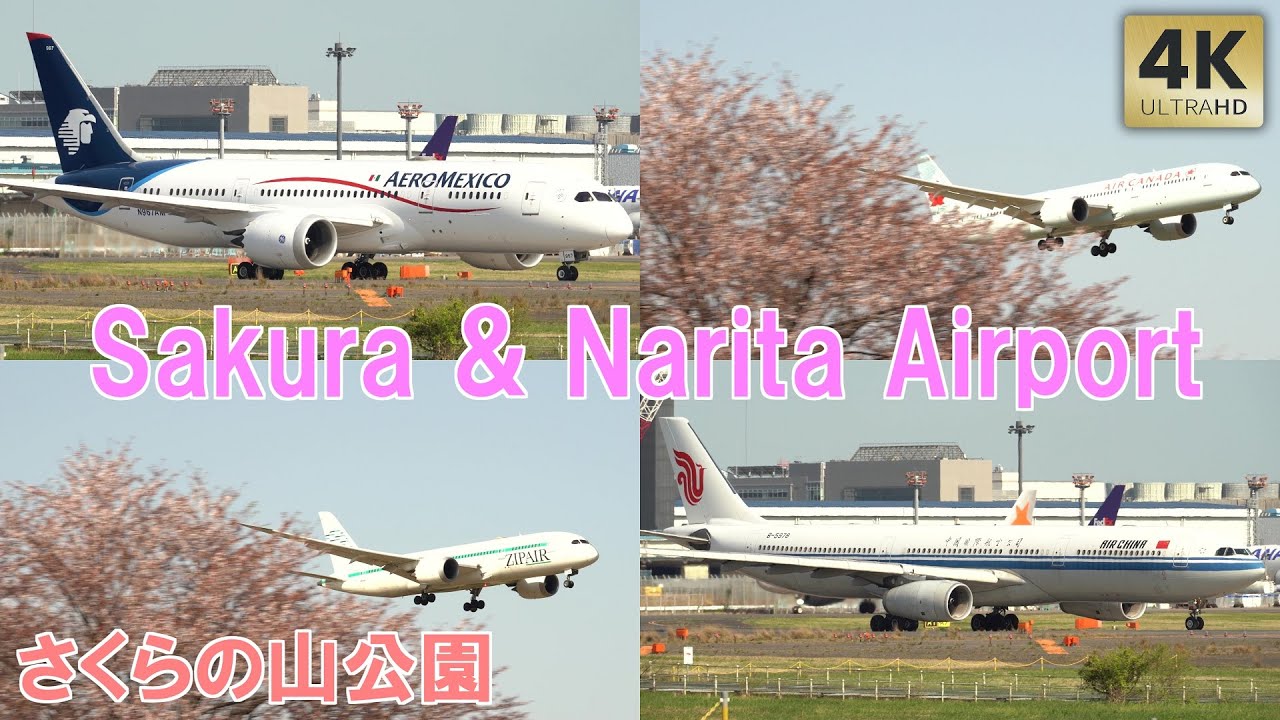 成田空港と桜 - Narita Airport/Sakura/Plane spotting/takeoff/landing/taxiing ...