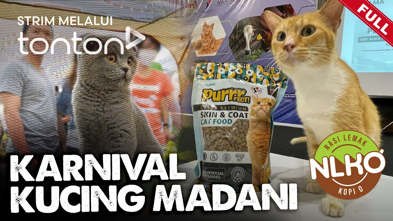 [FULL] Nasi Lemak Kopi O (2024) | Fri, Aug 9 - Karnival Kucing Madani ...