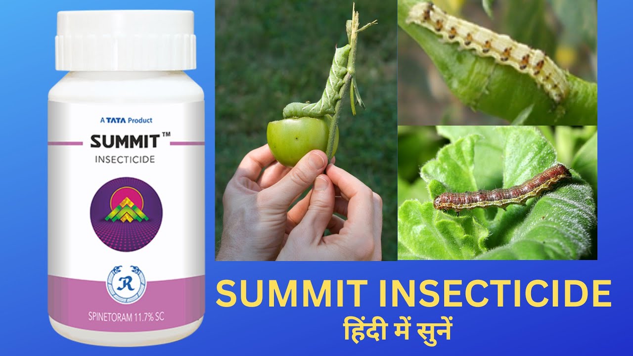 Know about Tata Rallis Summit insecticide | रैलिस समिट कीटनाशक के बारे ...