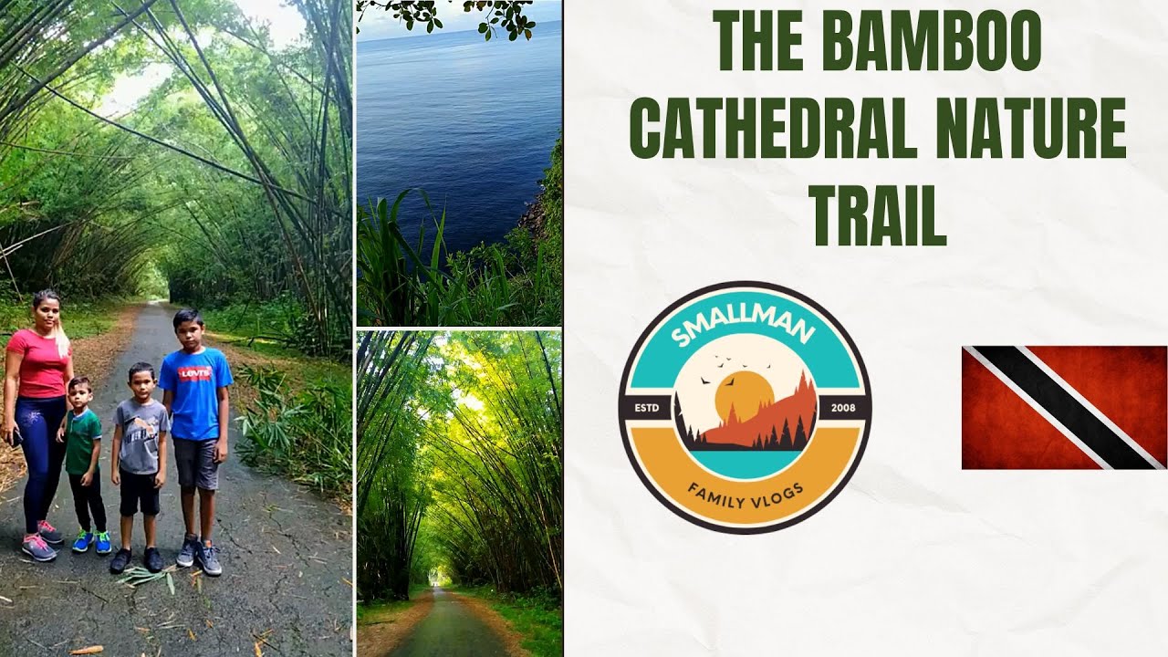 Experience The Beauty of The Bamboo Cathedral Nature Trail - YouTube