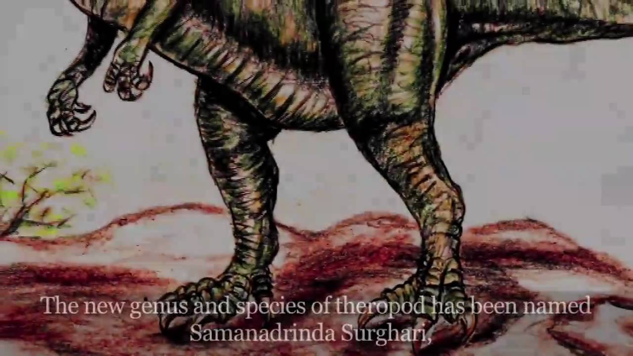 Rare Dinosaur Footprints Discovered in Pakistan - YouTube