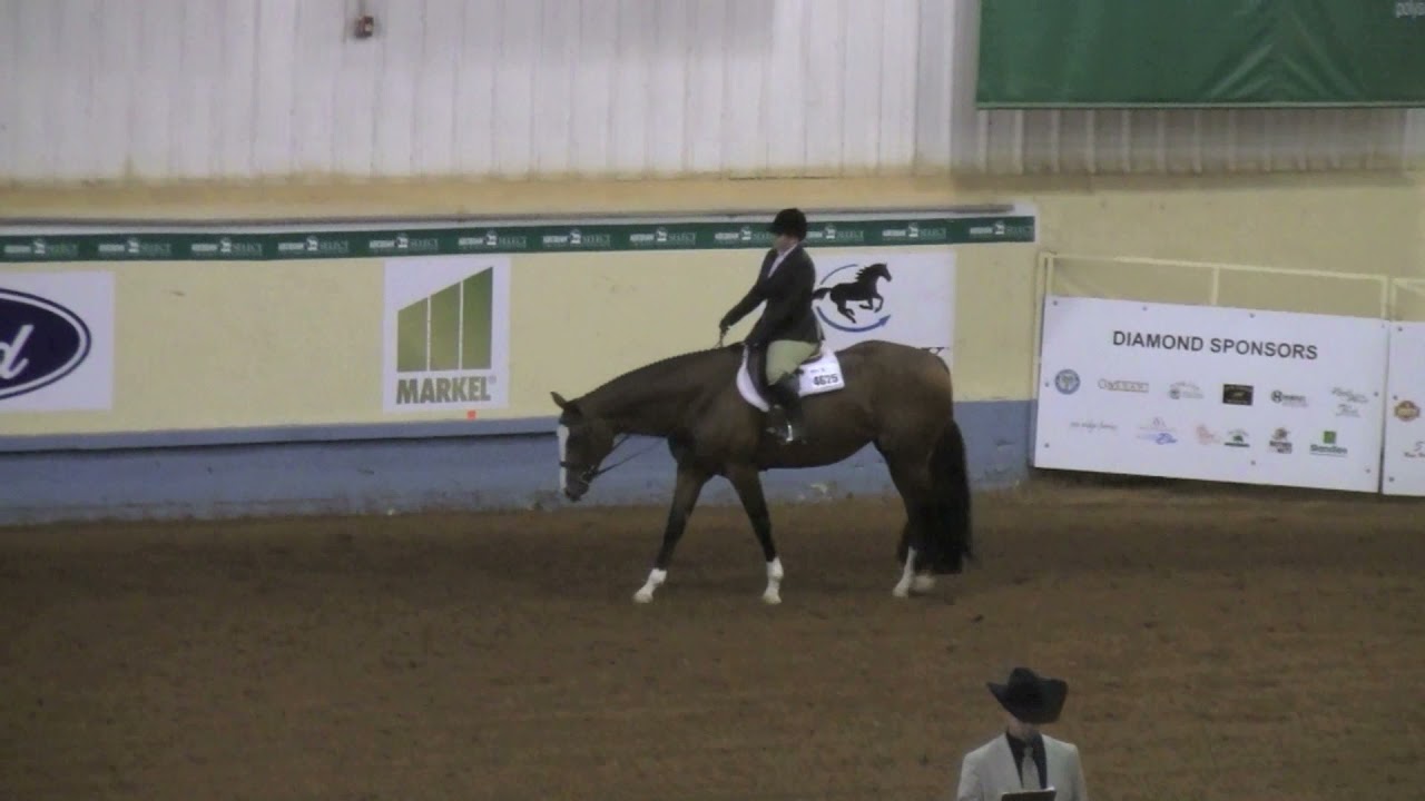 MEGHAN TIERNEY & PRETTY ASSETS - YouTube