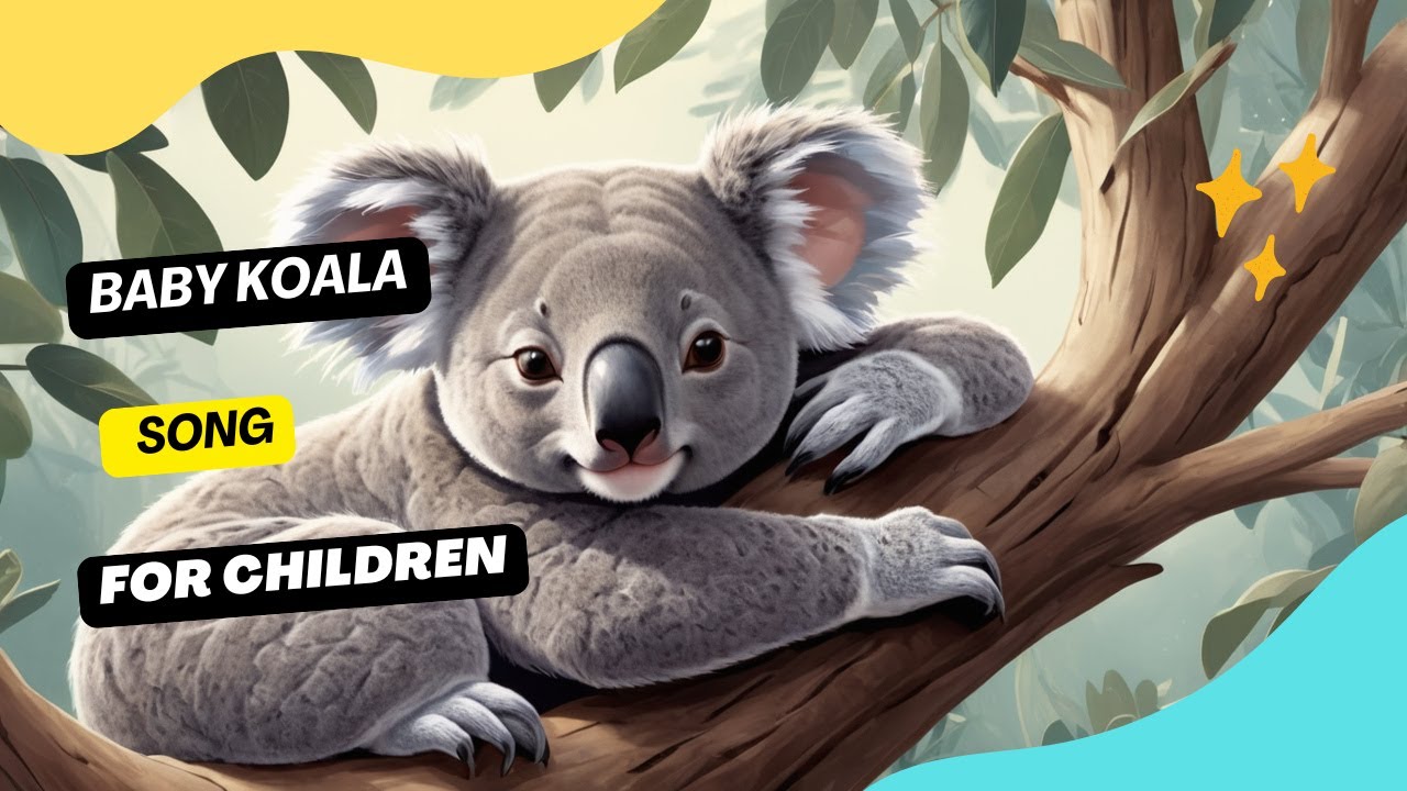Baby Koala - Song for Children - YouTube