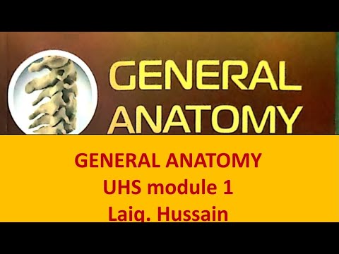 General anatomy UHS modular integrated Block 1 - YouTube