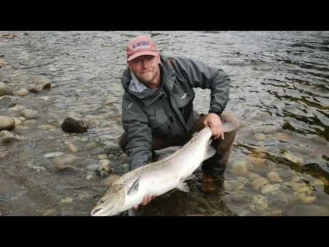 Laks 13 kg, Aune vald Gaula 2020 - YouTube