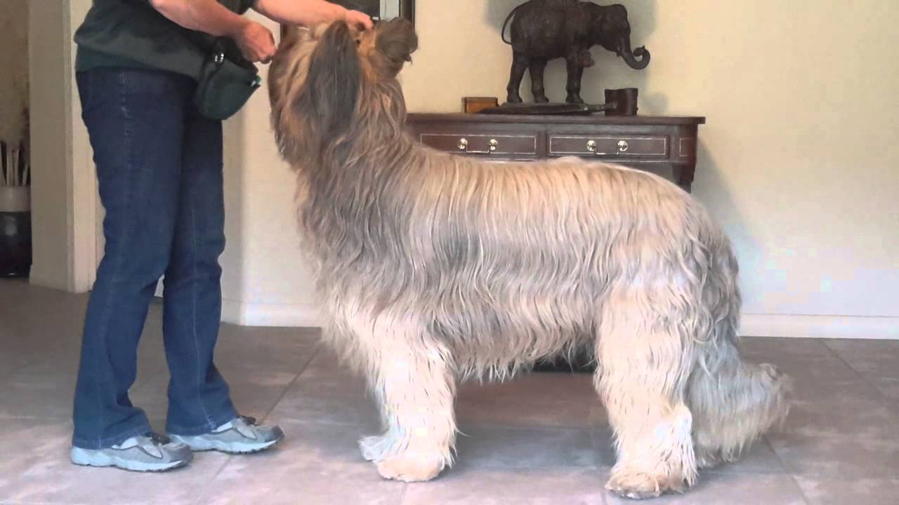 Stack, back may 8(1) - YouTube