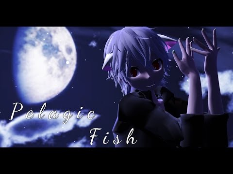 Pelagic Fish [MMD] - YouTube