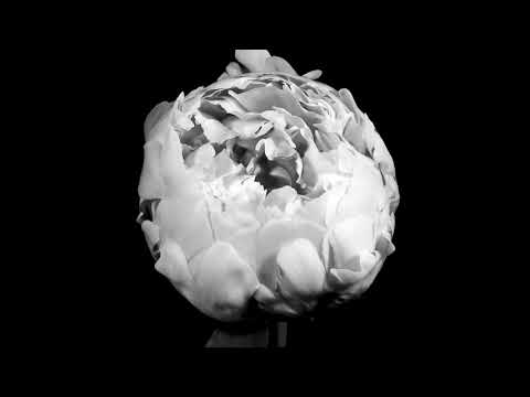 MONOCARPIC / Spoken Word Poetry / Karbala / Imam Hussain