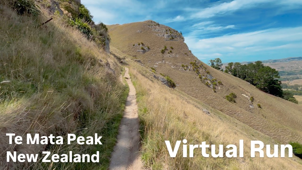 Virtual Trail Run | Treadmill Workout | Te Mata Peak, New Zealand | 4K ...