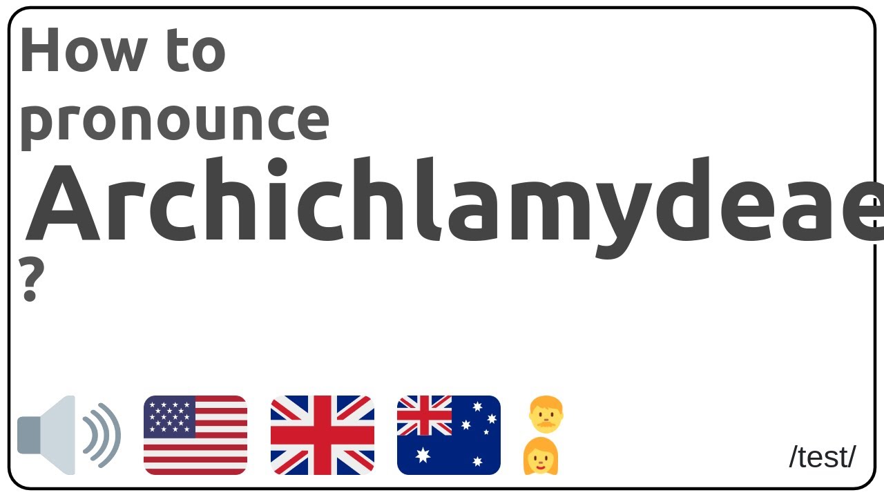 How to pronounce Archichlamydeae in english? - YouTube