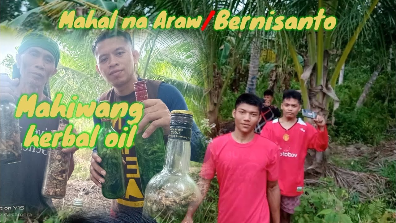 Himag herbal oil/ Paulian or Tambal uli ,Ang Mahiwagang kahoy sa bundok ...