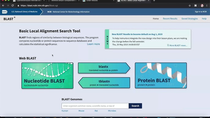 Nucleotide Blast PomBase Documentation Gene Page: Sequence