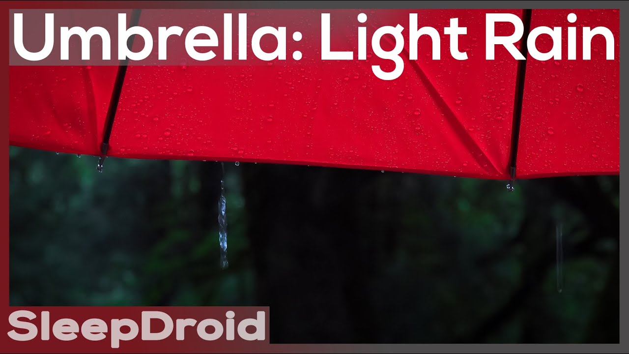 Light Rain on an Umbrella ~Rain Sounds for Sleeping, Red Umbrella in ...