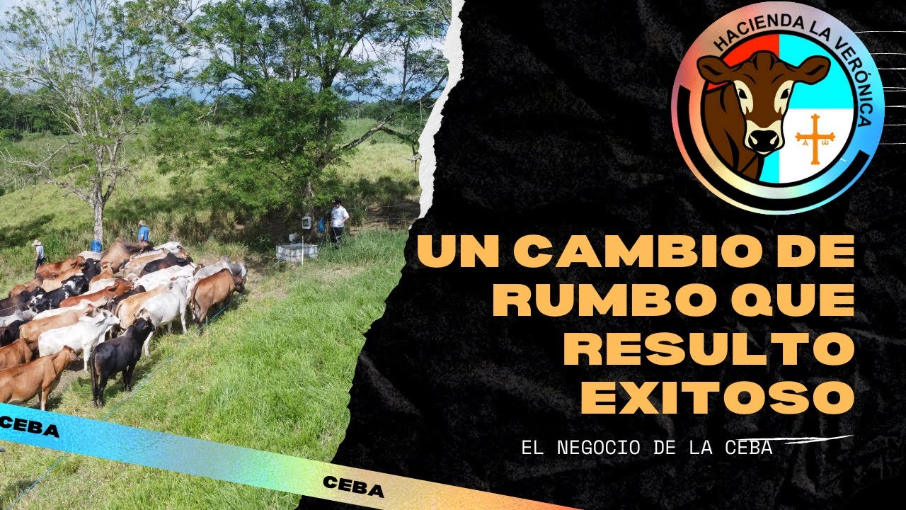 UN CAMBIO DE RUMBO QUE RESULTÓ EXITOSO... - YouTube