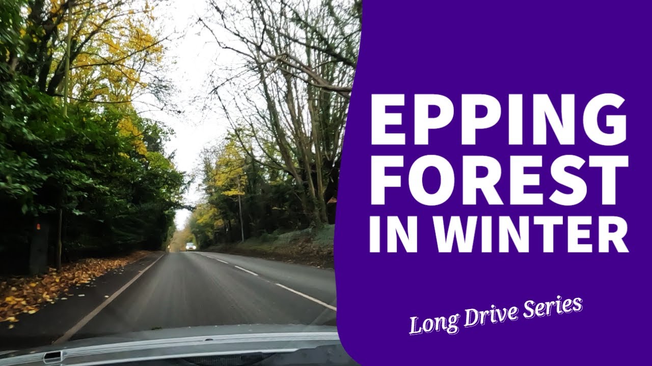 A drive through Epping Forest in Winter - with relaxing music - YouTube