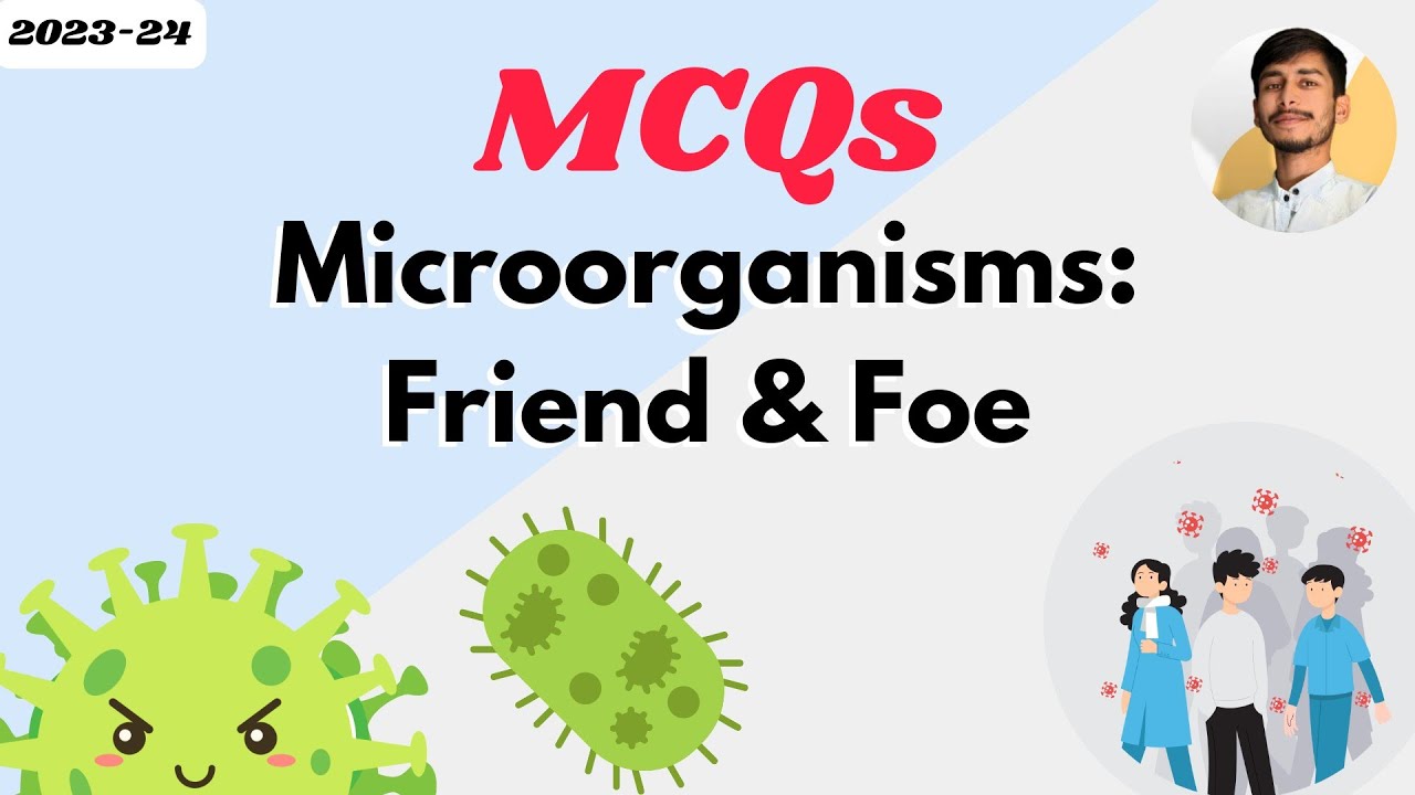 MCQs - Microorganisms Friend and Foe | CLASS 8 SCIENCE 2023-24 NEW ...