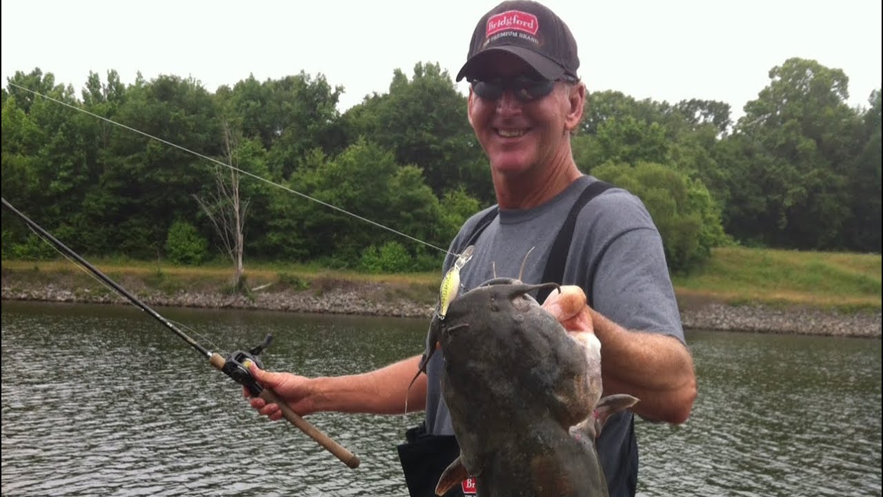Catching Catfish While Bass Fishing Tells You THIS… - YouTube