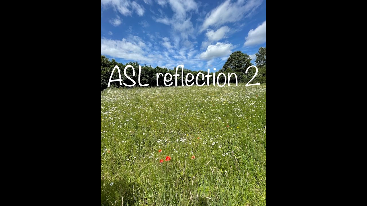 ASL reflection 2 - YouTube
