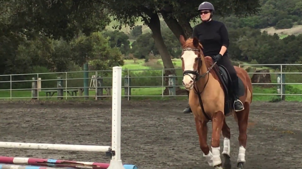 AQHA Schoolmaster Canter Lesson - YouTube