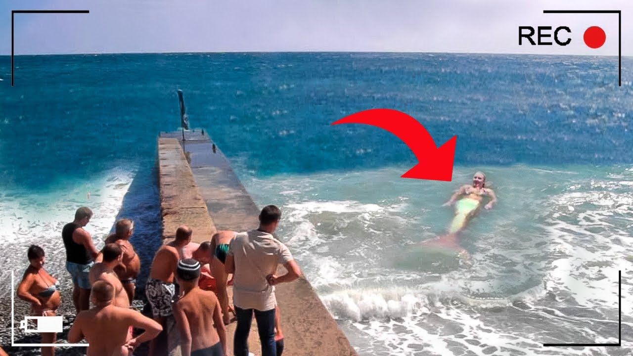 Tourists Caught A Mermaid, What Happened Next Shocked Everyone - YouTube