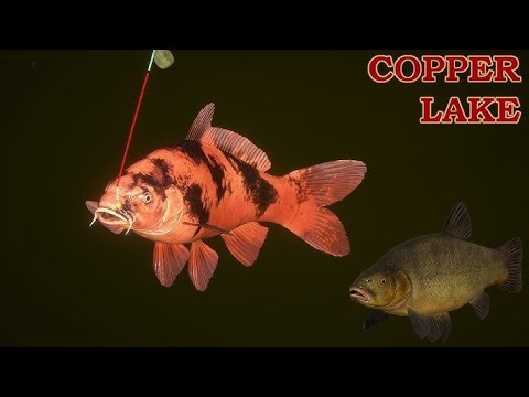 Russian Fishing 4 (RF4) Weekly Record on Copper Lake SPOT + SETUP - YouTube