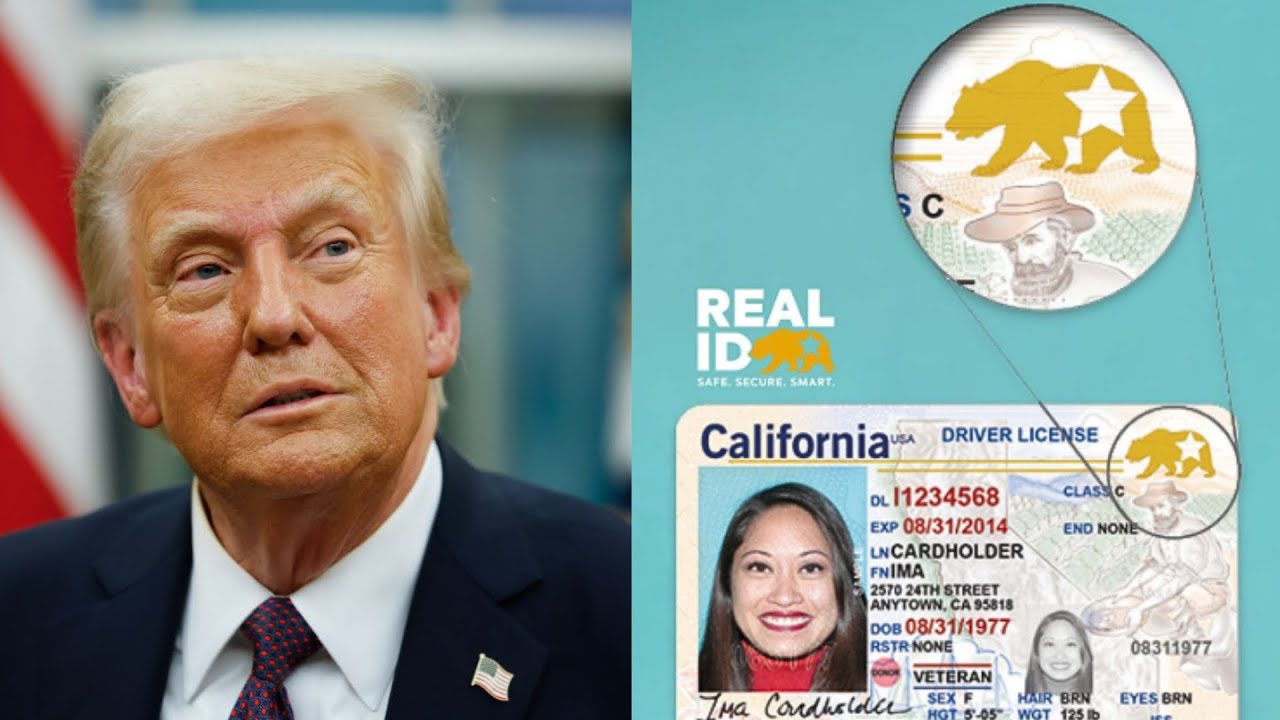 Al Punto California: El REAL ID ya es obligatorio, abogado advierte ...