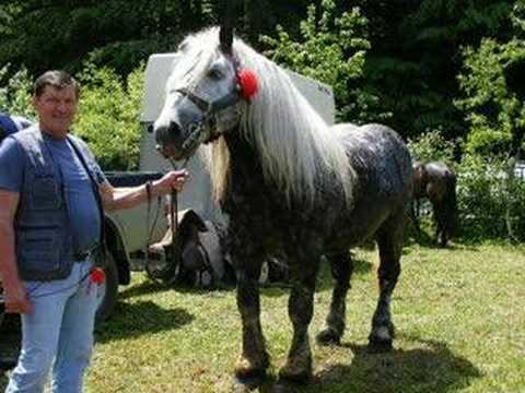 semigreu romanesc - YouTube