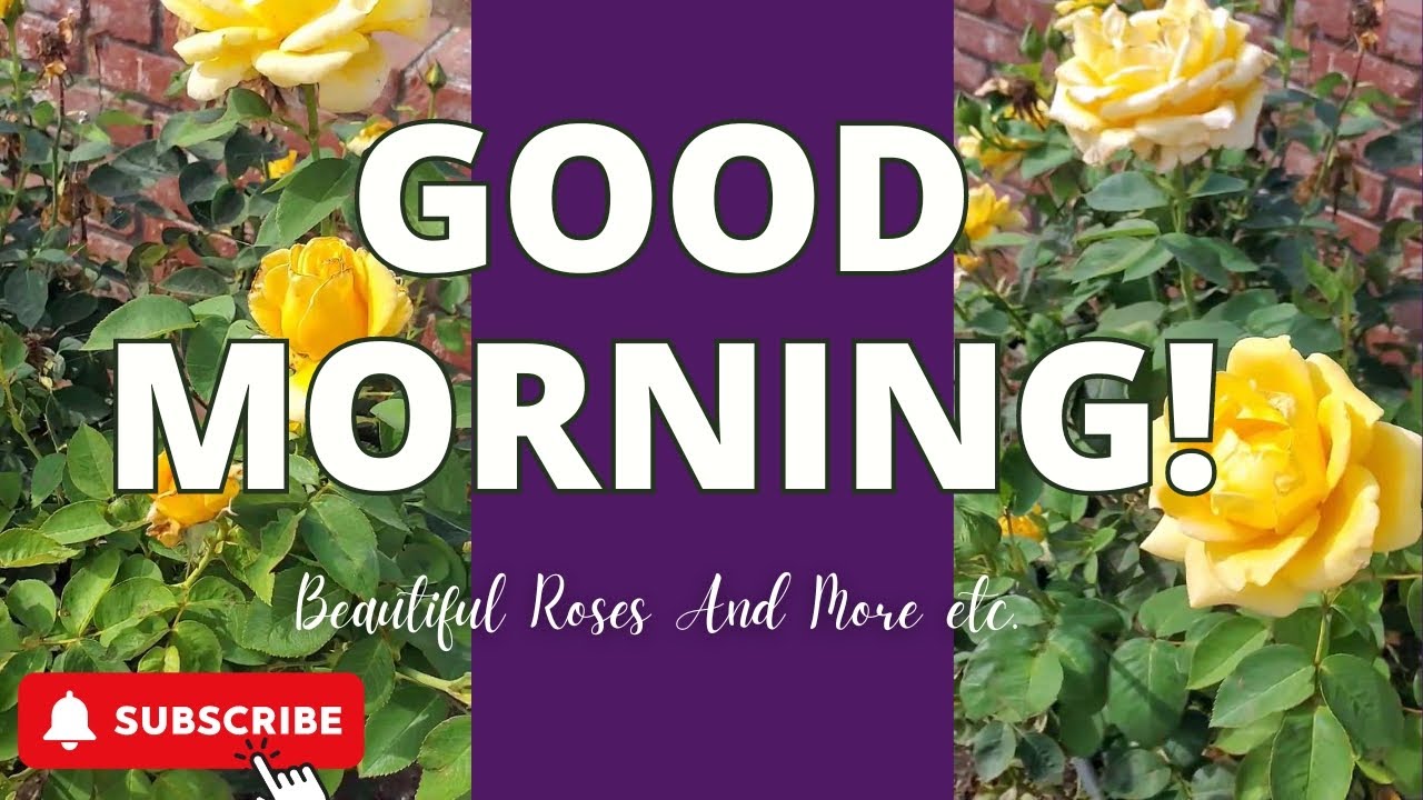 Good Morning! - YouTube