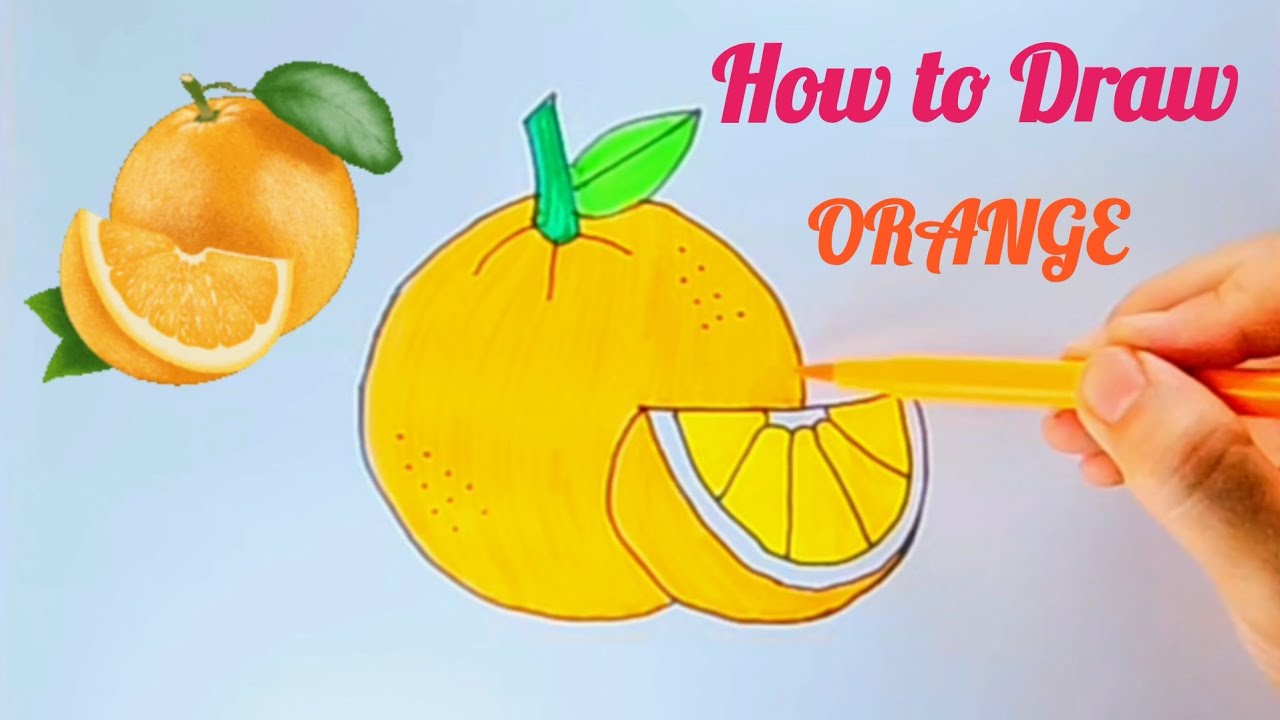 How to draw Orange Step by step easy - Drawing Orange - YouTube