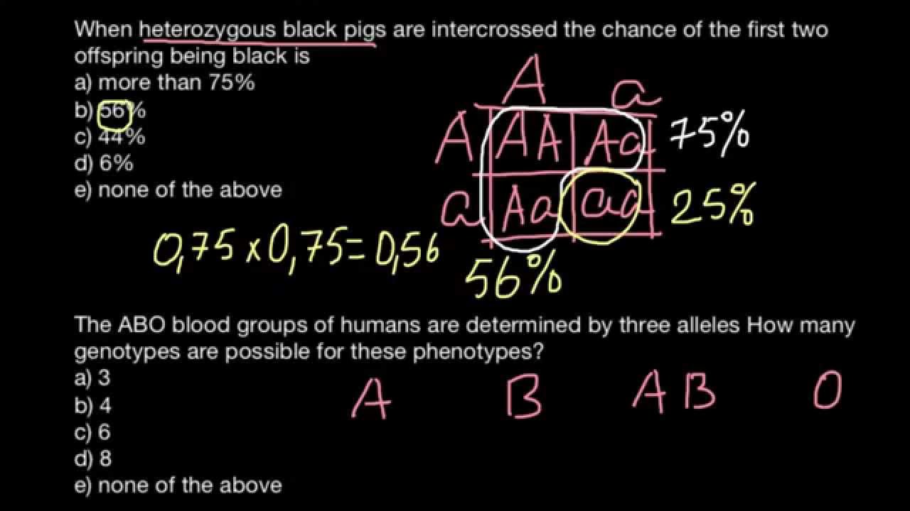 Genetics And Rule Of Probability YouTube genetics-and-rule-of-probability-youtube