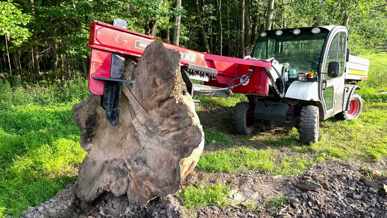 Stump Buster 30 30 vs BIG Oak - YouTube