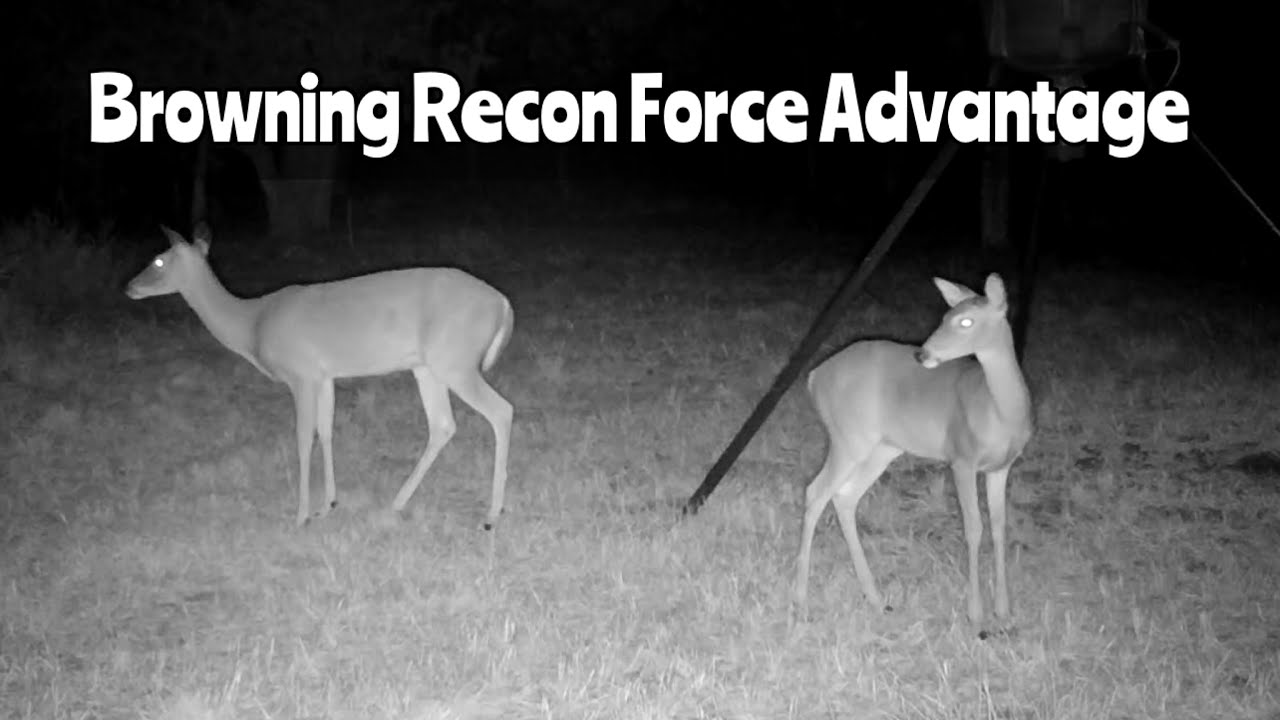 Deer Feeder Cam #1: Browning Recon Force Advantage Trail Camera Nov. 2 ...