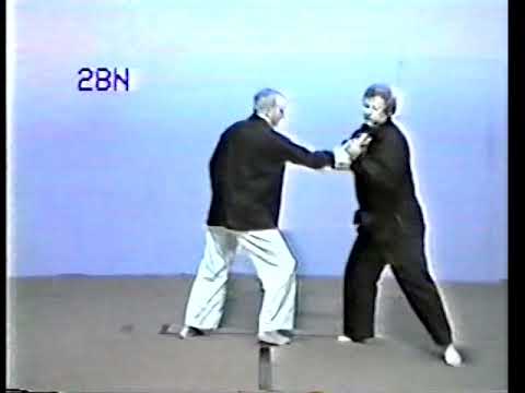 Tracy Kenpo Karate 2nd Brown Belt Japanese Hands.