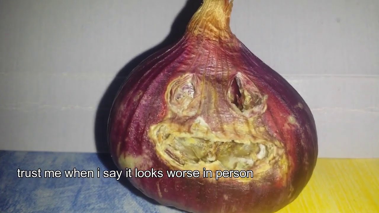 scary Onion - YouTube