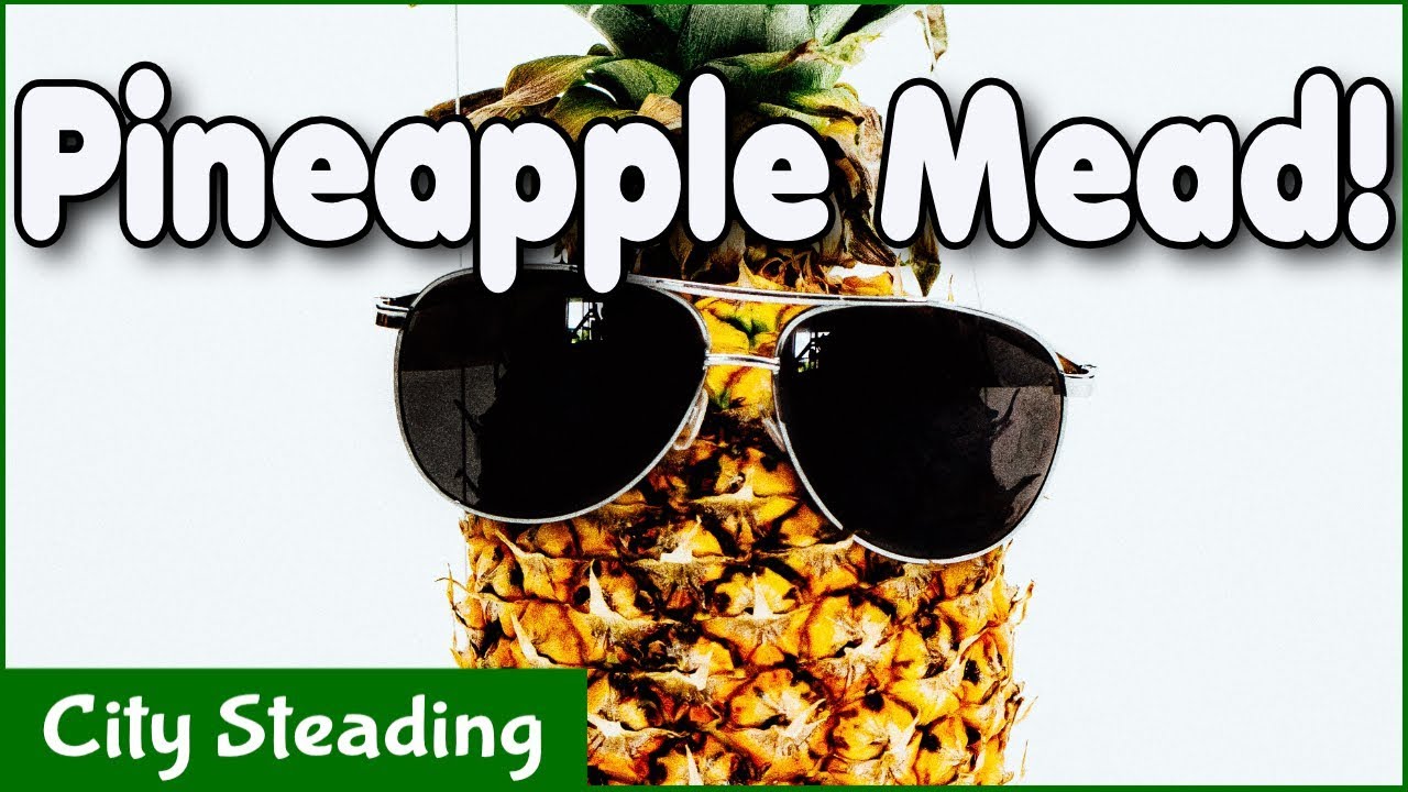 Pineapple Mead tasting - YouTube