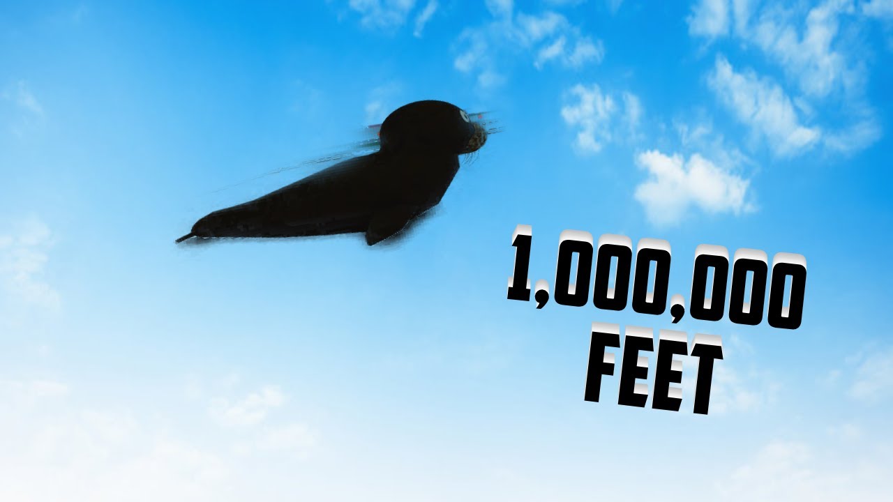 FLYING TO 1,000,000 FEET IN PTFS… - YouTube