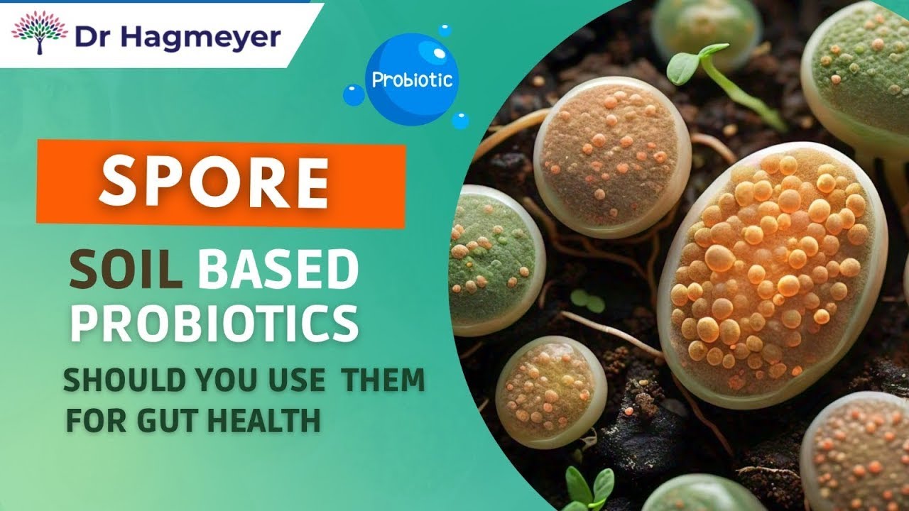 🦠Spore/Soil Based Probiotics🦠 ⚠️ Should You Use Them for Gut Health- Dr ...