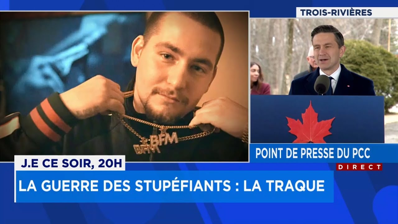 Guerre des stupéfiants: le Blood Family Mafia s’organise après l ...