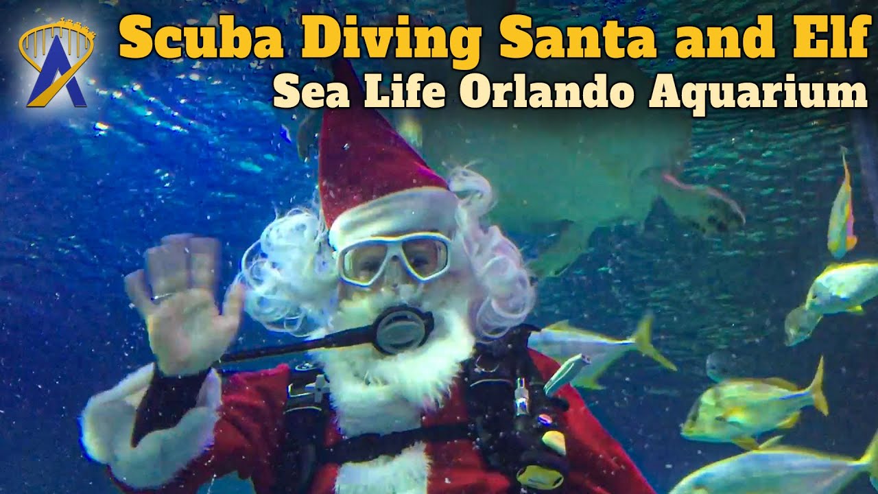 Scuba Diving Santa and Elf at Sea Life Orlando Aquarium - YouTube