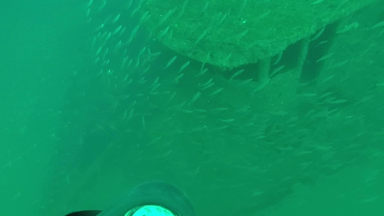 First ocean dive 2 navy tug boats. - YouTube