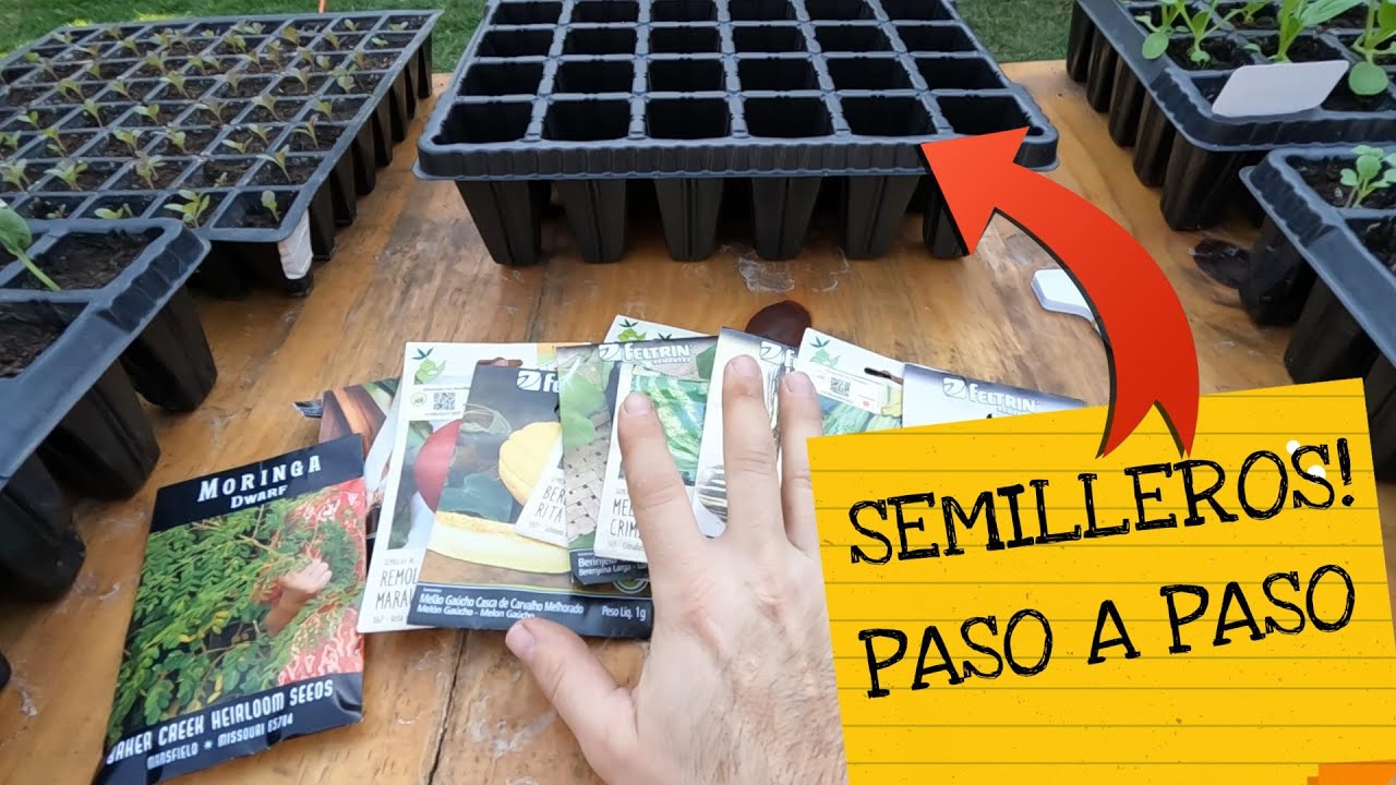 Como preparar ALMACIGOS paso a paso! Preguntas y respuestas - YouTube