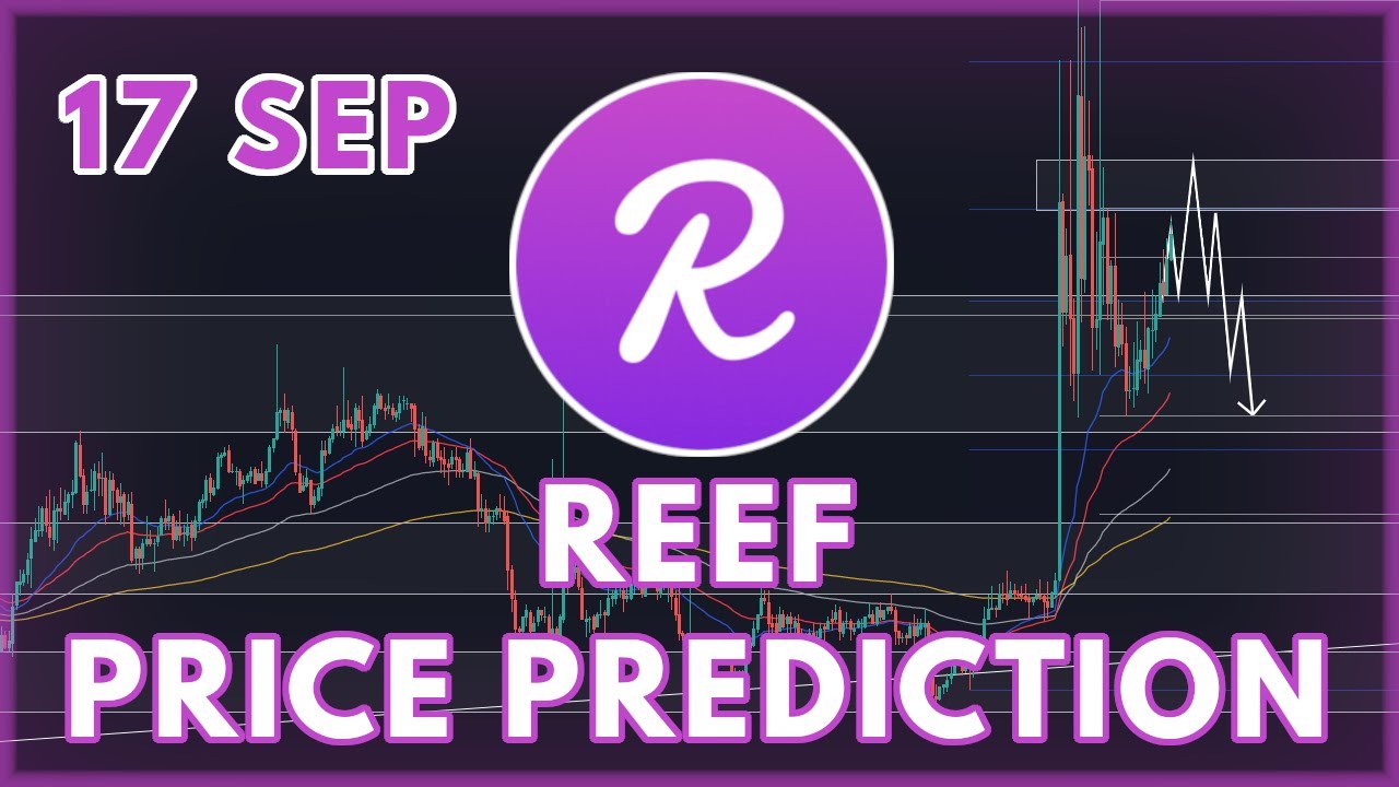 $REEF MARKET UPDATE! | REEF PRICE PREDICTION & ANALYSIS FOR 2022! - YouTube