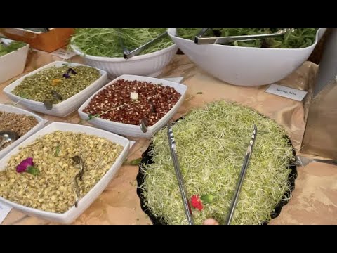My Raw Vegan Dinner at Hippocrates Health Institute - YouTube