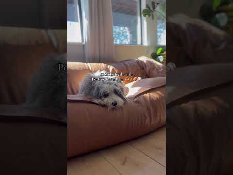 Teen Boy Bedroom 🏈