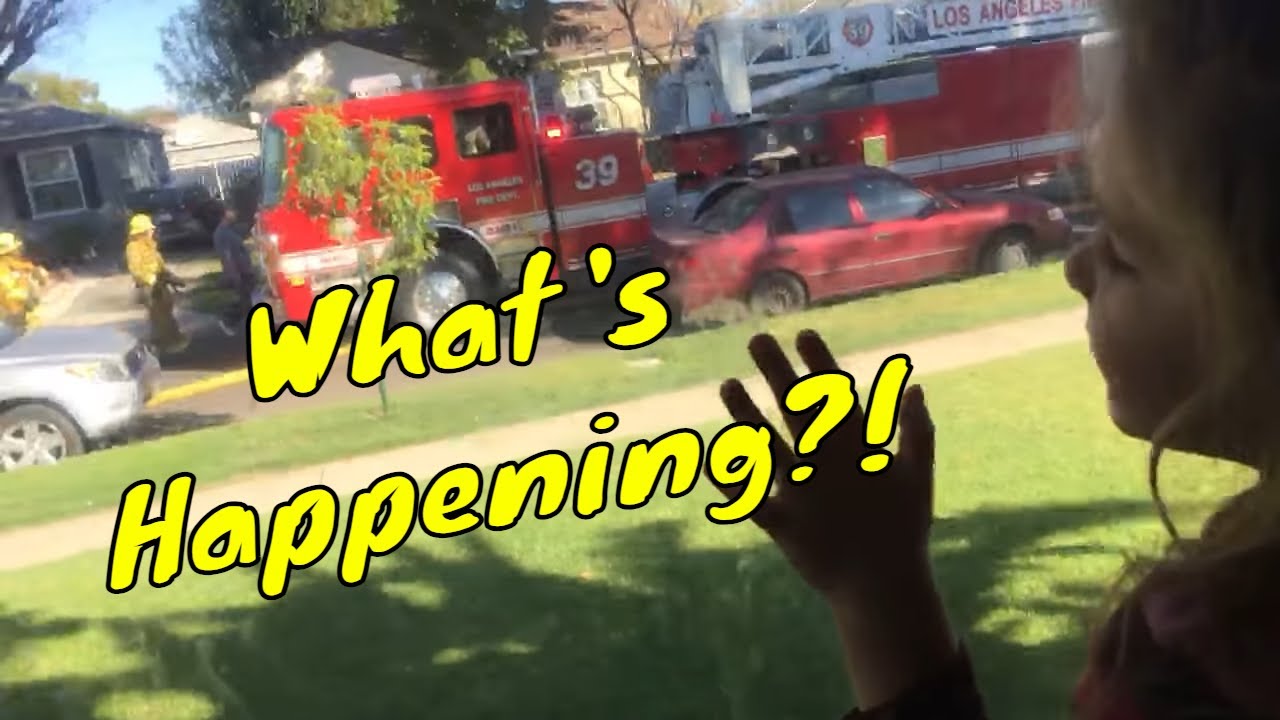 Fire 🔥 LIVE !! Lake balboa van nuys California - YouTube